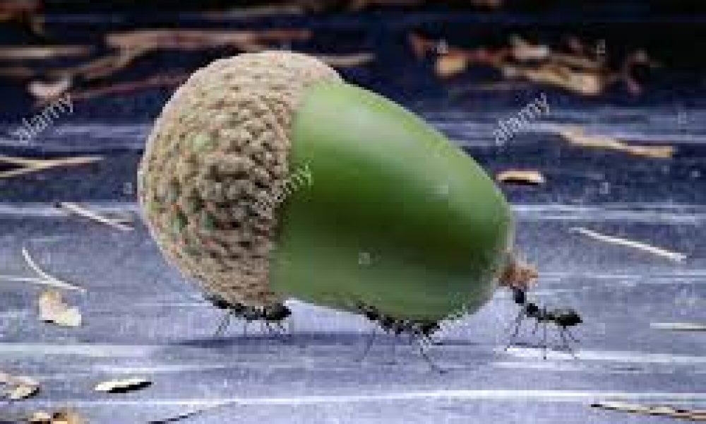 Software Developer Zone | Software Developer Zone